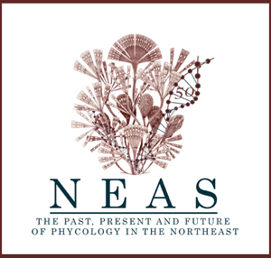 Index of /meeting_docs/NEASimages